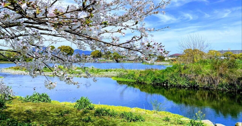 Biodiversity in Japan: hotspots and priority areas for conservation ...